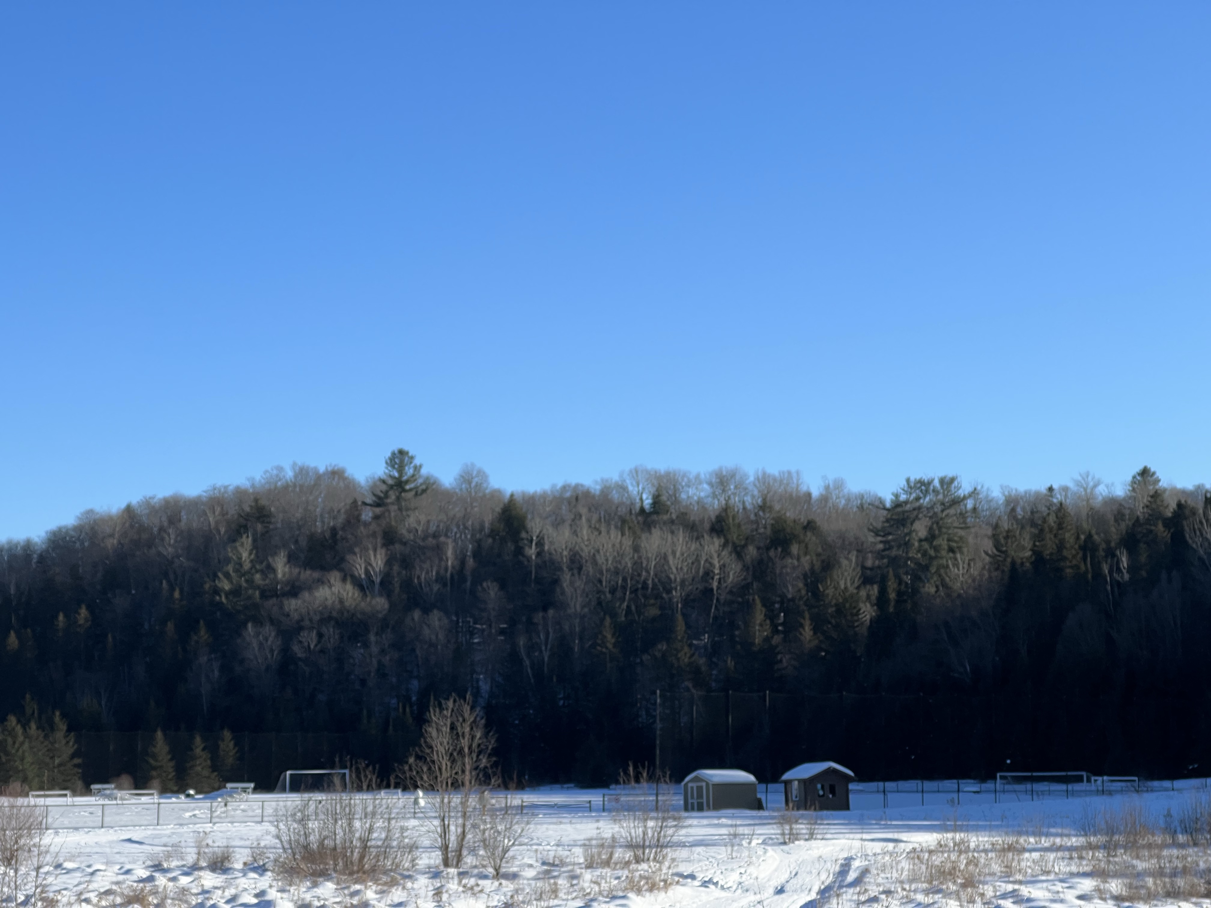 Feb. 13, 2022 – Once Daily
